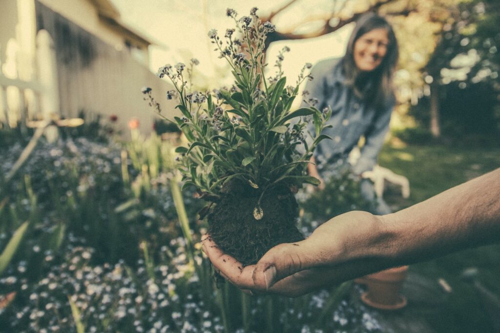 Gardening 101 - How to Start a Garden