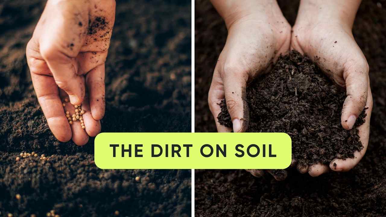 The Ultimate Guide to Homestead Gardening - Homebec