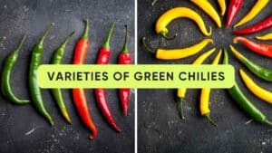 What Are Green Chilies? A Comprehensive Guide - Homebec